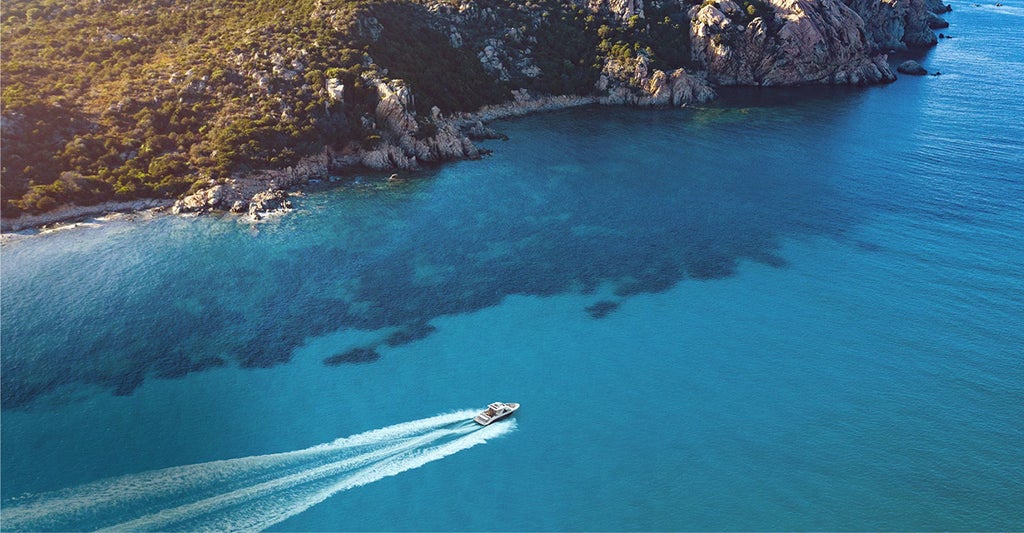 Why Buy a Sea Ray Boat | Sea Ray